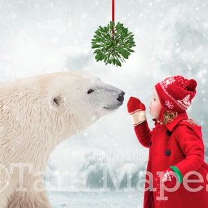 Christmas Polar Bear Digital Backdrop Christmas Polar Bear - Etsy