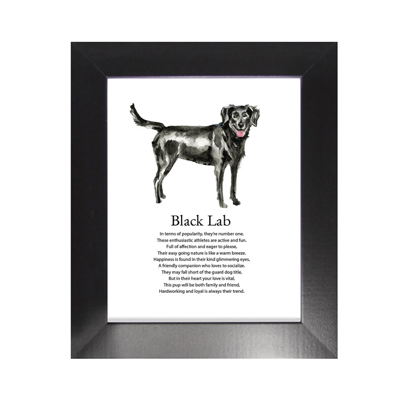 Labrador Painting - Etsy