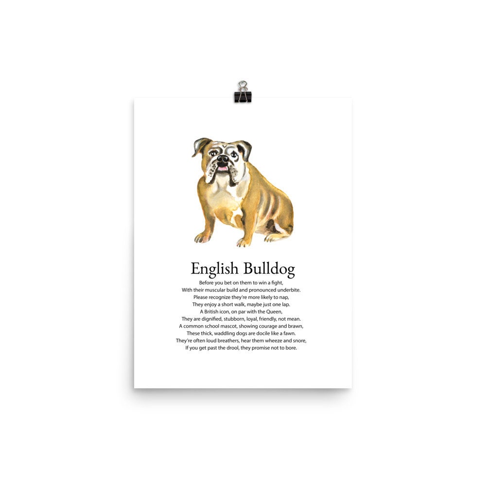 Bulldog Poem Print, Bulldog Print Illustrated Poem, English Bulldog Art ...
