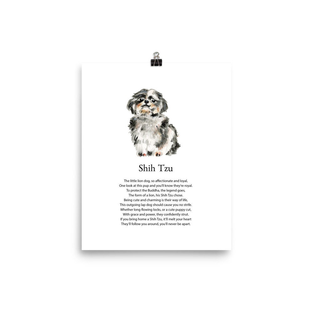 Shih Tzu Poem Print Shih Tzu Print Cute Dog Print Shih Tzu - Etsy