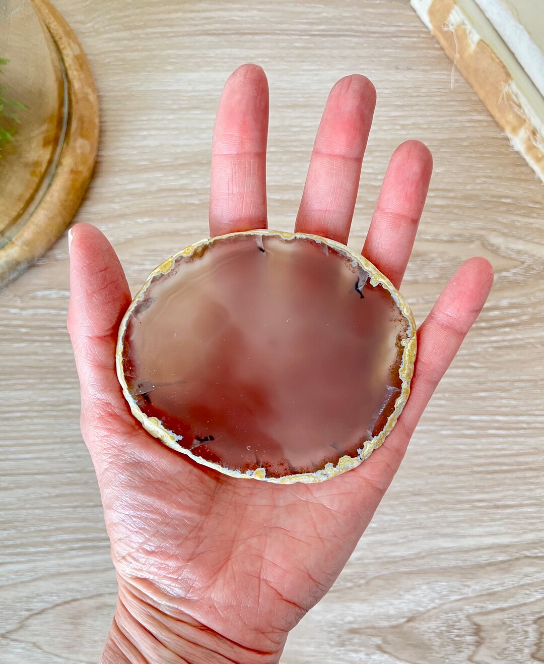 Large Natural Geode Slice, Earth Tone Agate Slice With Banding for ...