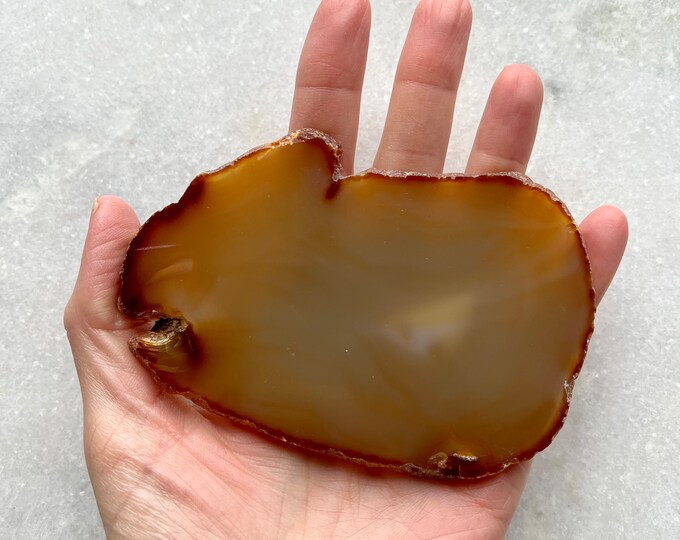 Large Natural Geode Slice, Earth Tone Agate Slice With Banding for ...