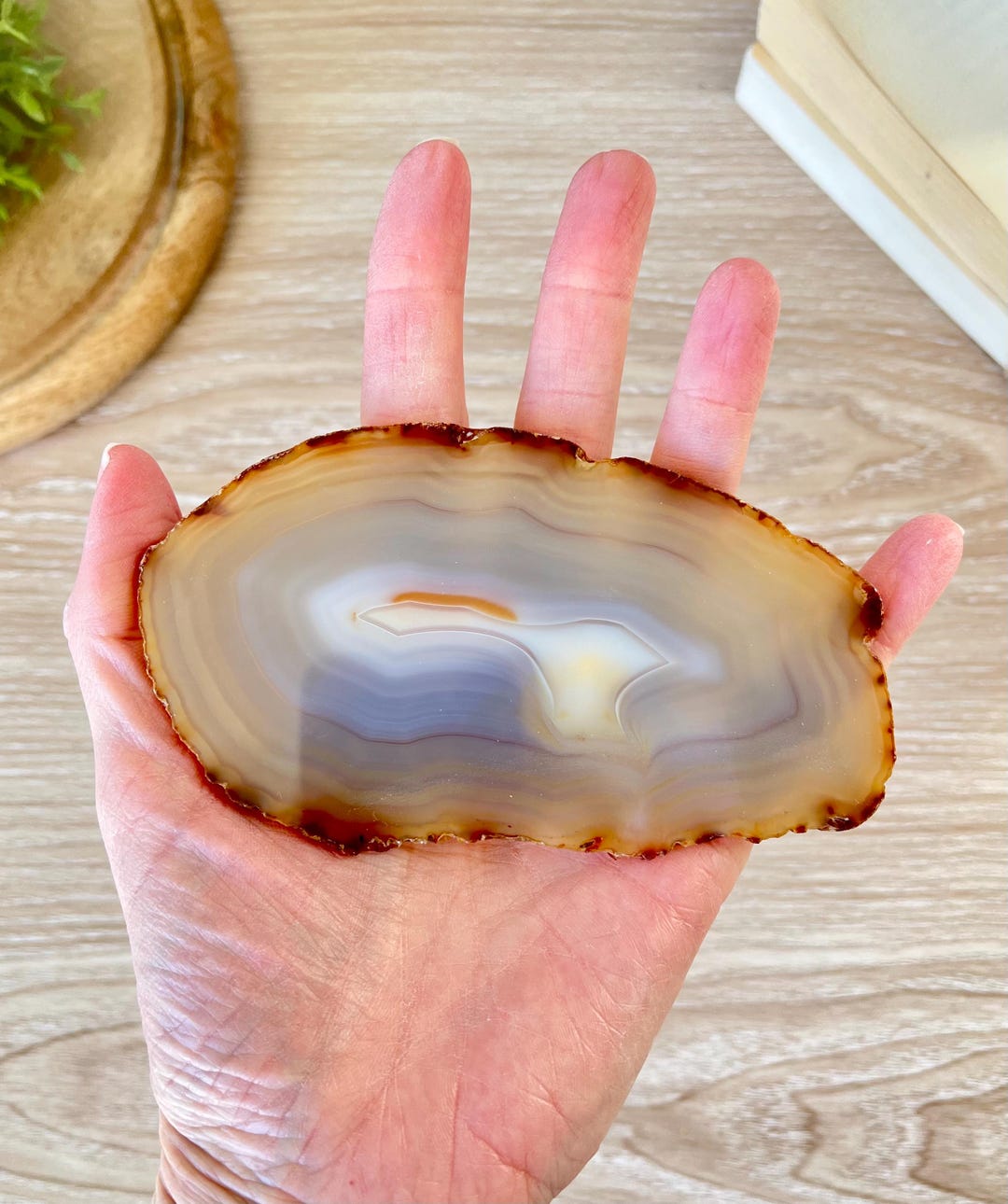 Large Geode Slice, Natural Geode Slice for Mineral Specimen Rock Collection, Rock and Nature ...