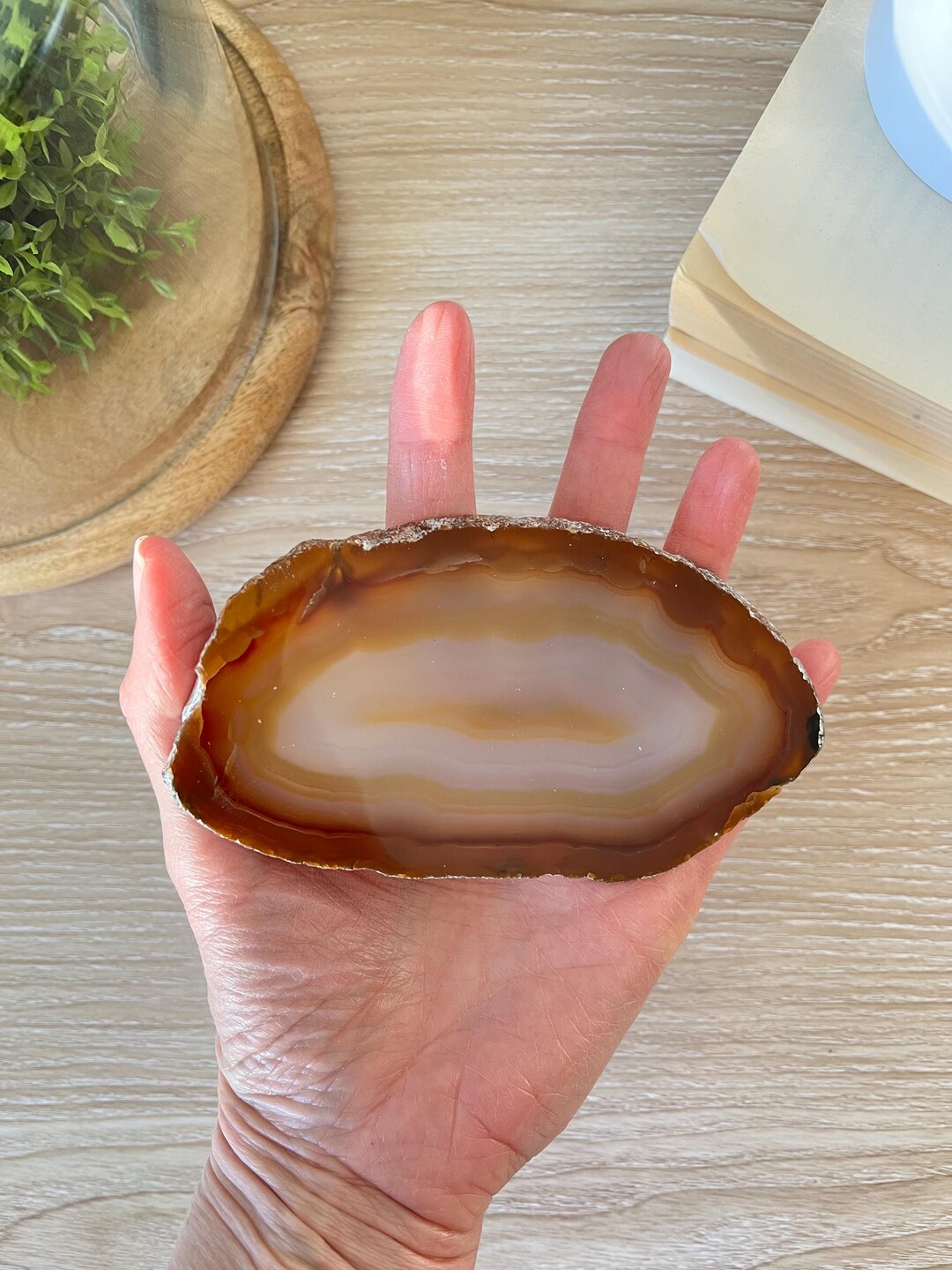 Large Geode Slice, Natural Geode Slice for Mineral Specimen Rock ...