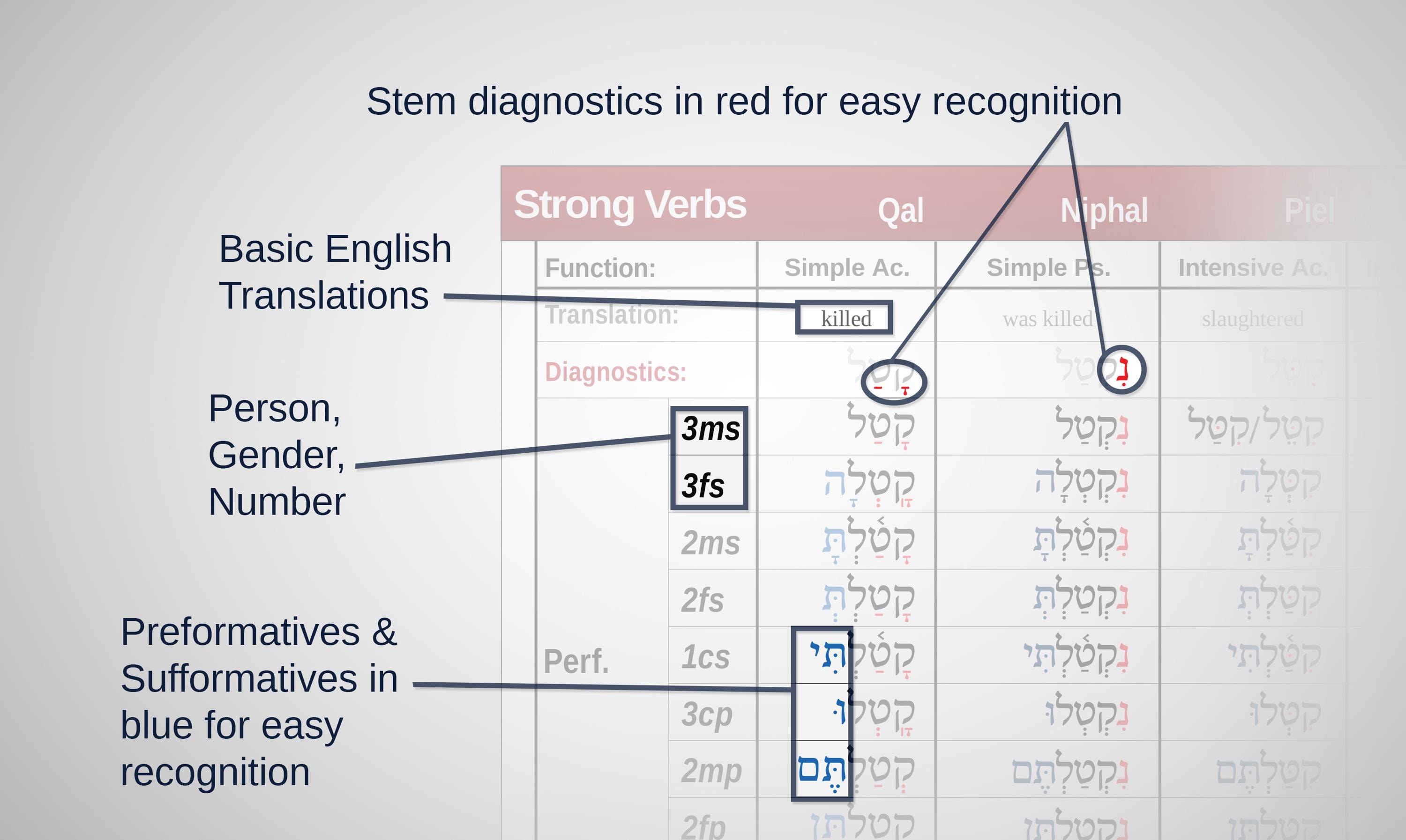 Biblical Hebrew Paradigm Chart [digital Version] - Minimize ...