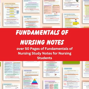 Nursing fundamentals Study Guide & Care Plan Templates (printable pdf ...