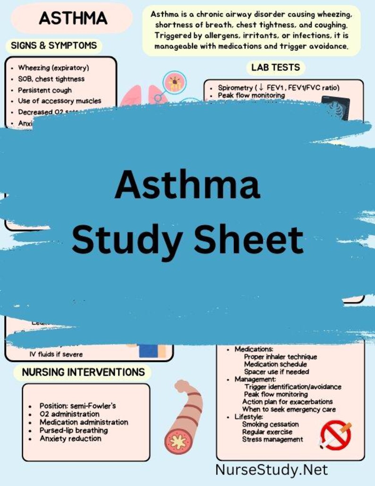 Asthma Nursing Study Sheet - Etsy
