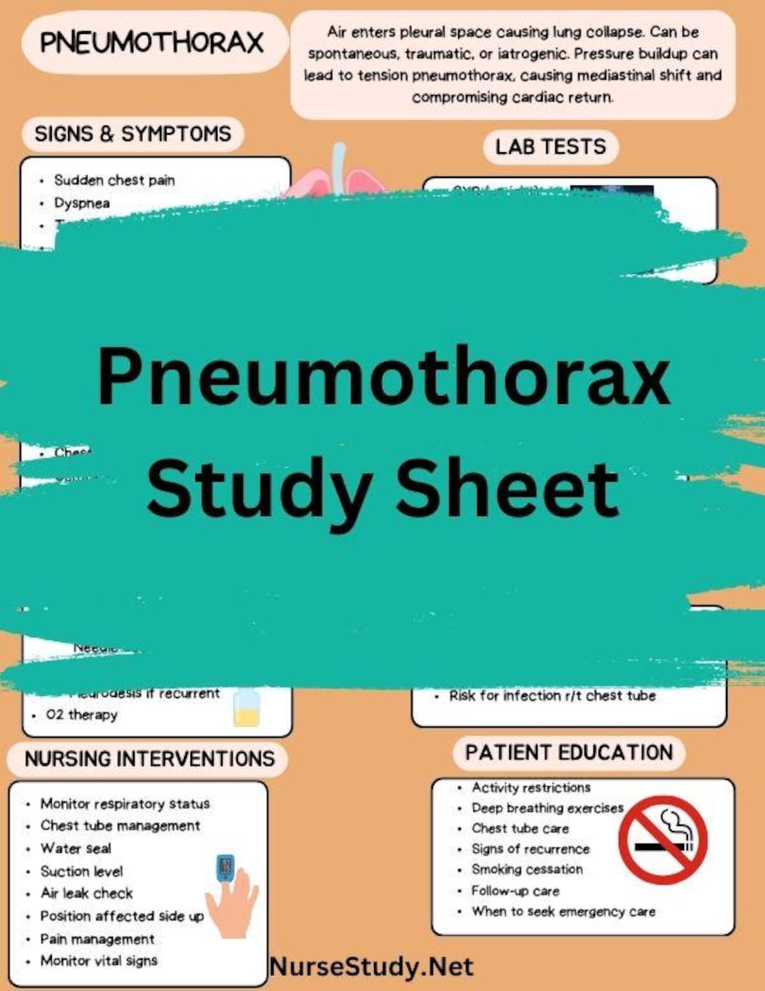 Pneumothorax Nursing Study Sheet - Etsy
