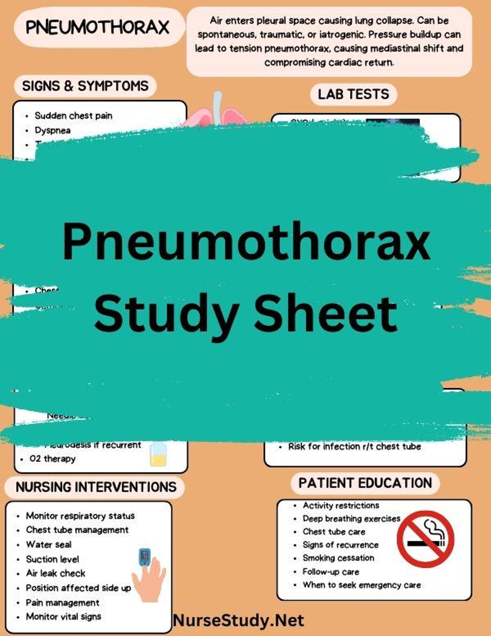 Pneumothorax Nursing Study Sheet - Etsy