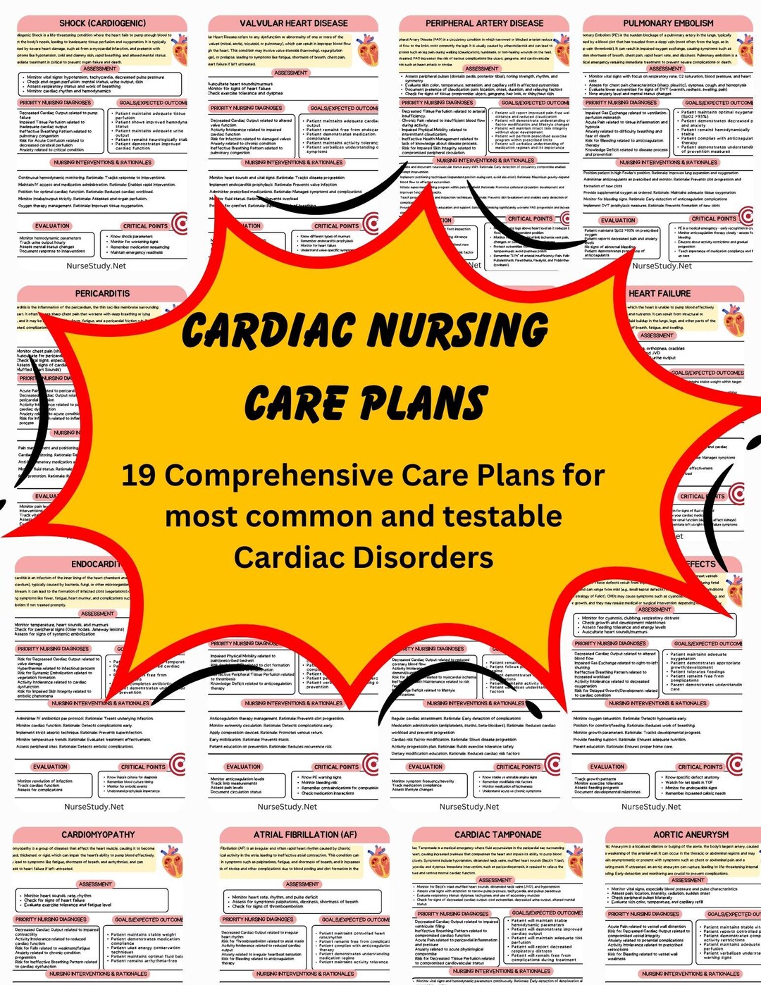 Cardiac Nursing Care Plans PDF: 19 Heart Disorders NCLEX Study Guide ...