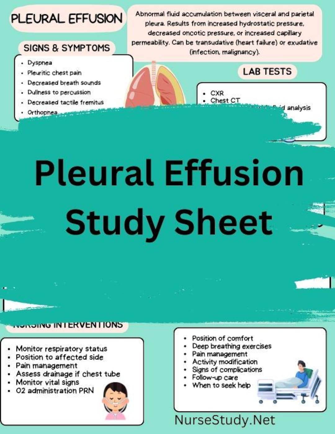 Pleural Effusion Nursing Study Sheet - Etsy