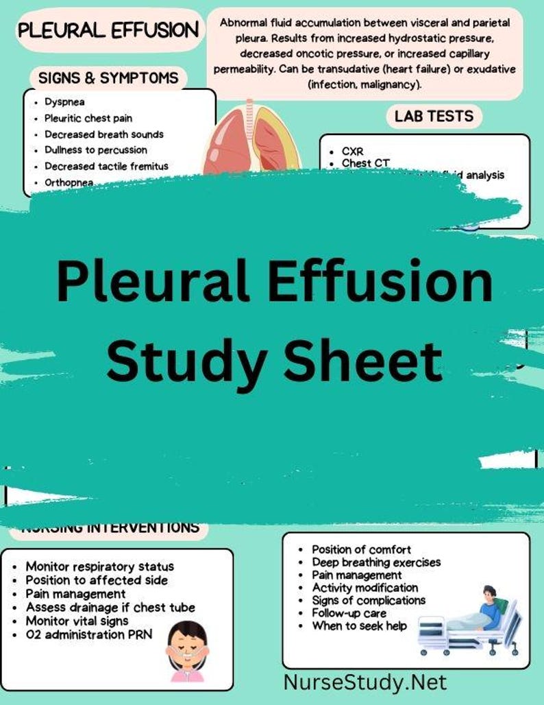 Pleural Effusion Nursing Study Sheet - Etsy