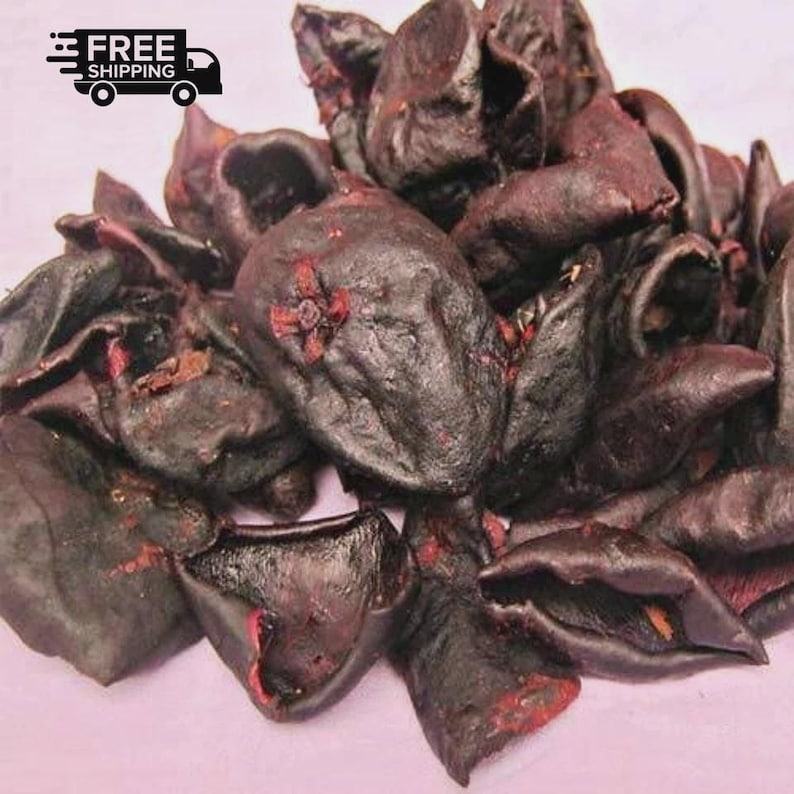 Indian Sun-dried Kokum (kokam / Garcinia Indica / Vrikshamla) — Natural ...