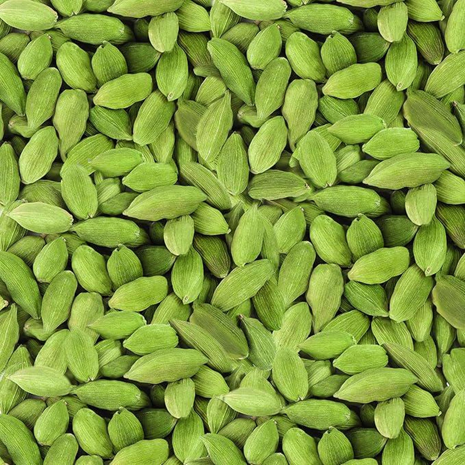 Whole Green Cardamom – Hari Elaichi – Ilaichi Pods – Aromatic Spice - Etsy