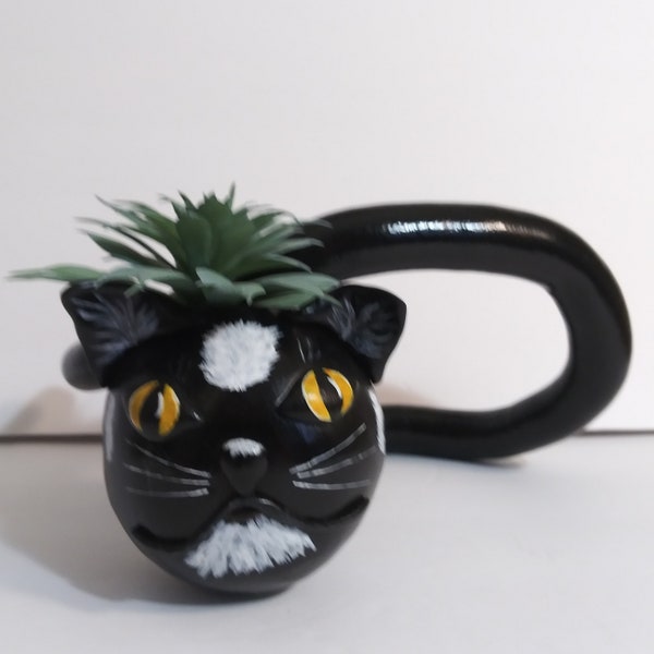 Cat Gourd - Etsy