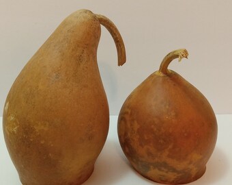 Gourds,4 Lg. Gourd Pieces,thick Gourd Pieces,dried Gourds,gourds for ...
