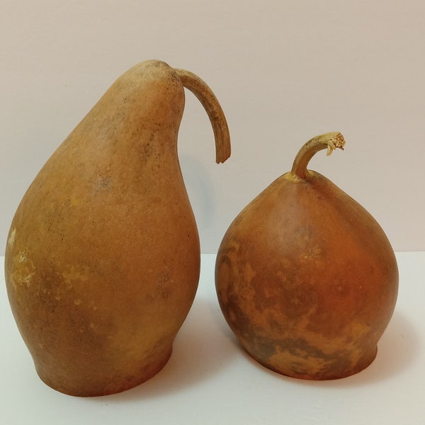 Gourd Crafts - Etsy