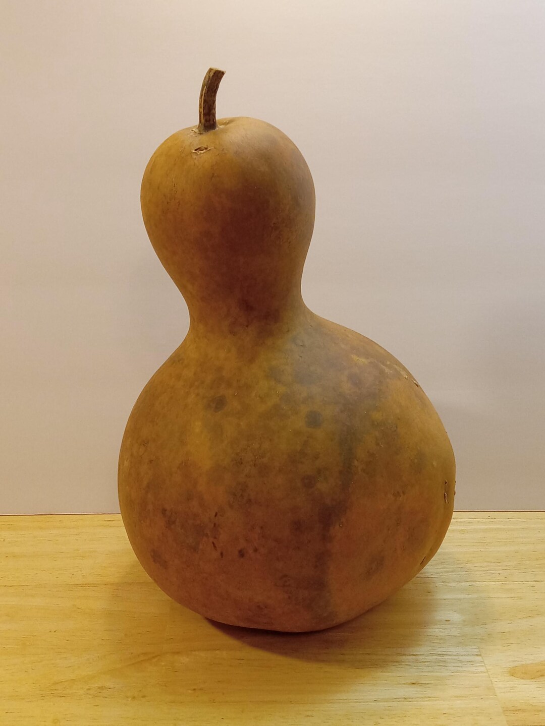 Gourds,lg Bottle Gourds,natural Gourds,gourds for Crafting,hard Shell ...