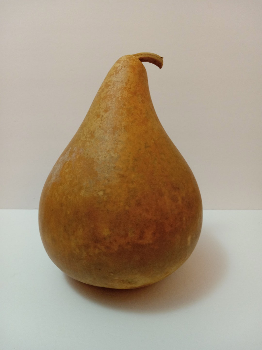 Gourds,birdhouses,kettle Gourd,wood Birdhouse,natural Gourds,diy Gourds ...