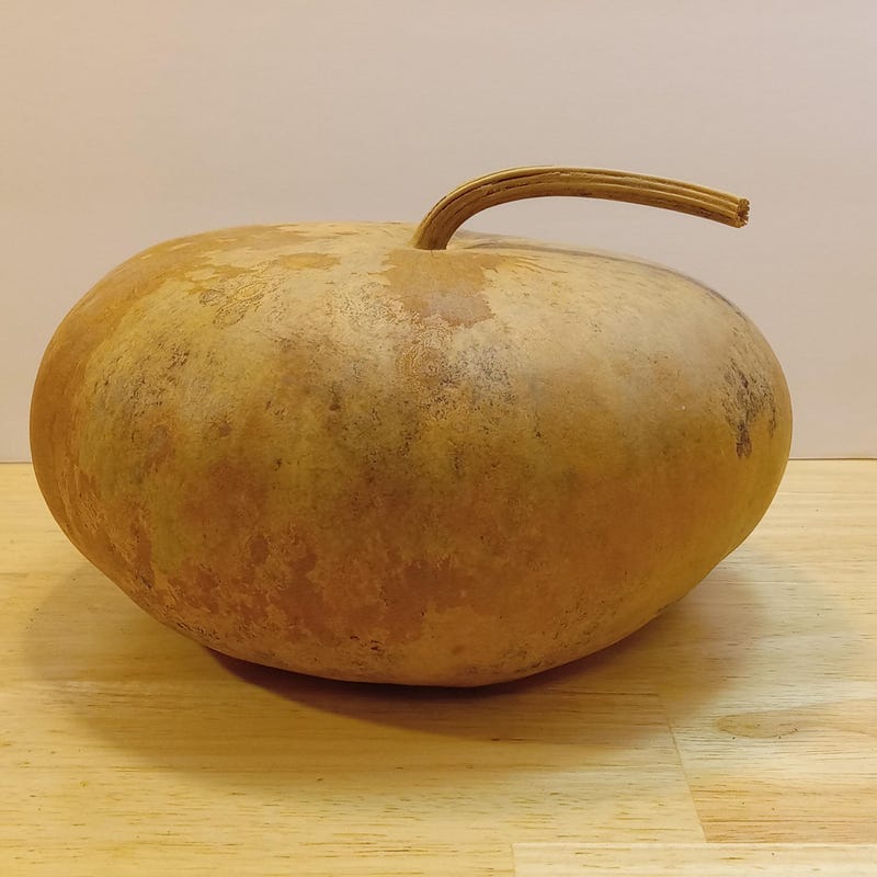 Gourd Crafts - Etsy