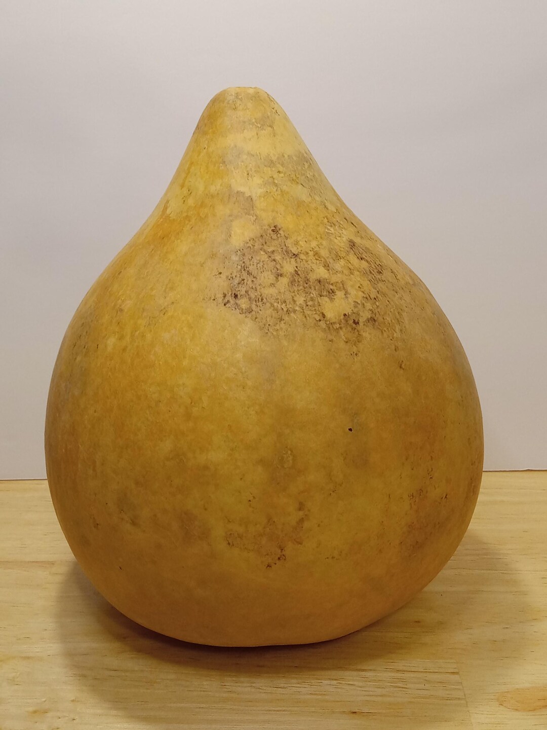 Gourds,copper Canyon Gourds,natural Gourds,gourds for Crafting,hard ...