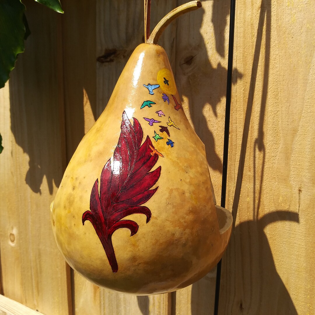 Gourds,painted Gourds,bird Feeders,gourd Planters,gourd Birdfeeder,one ...