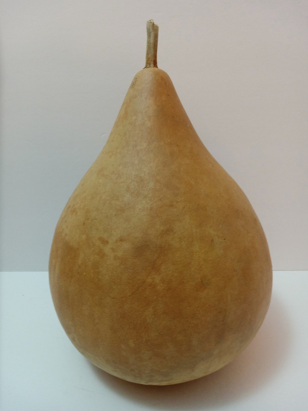 Gourds,birdhouses,kettle Gourd,wood Birdhouse,natural Gourds,diy Gourds ...