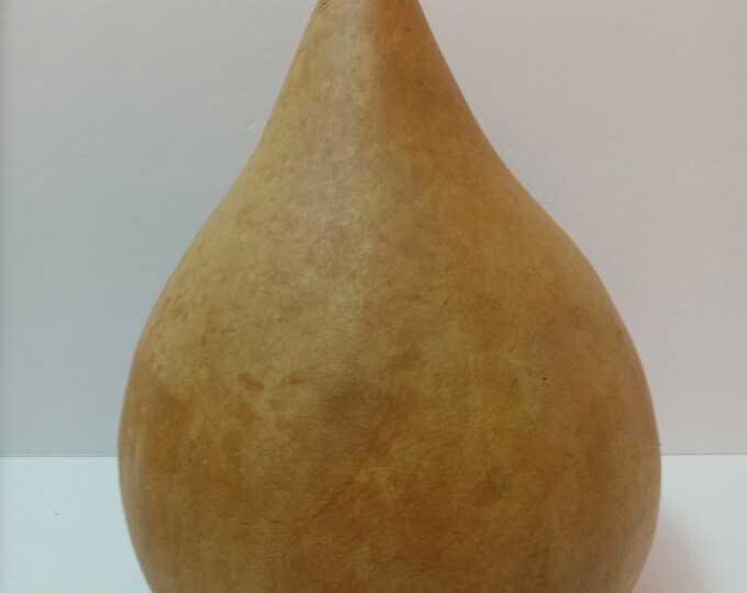 Gourds,birdhouses,kettle Gourd,wood Birdhouse,natural Gourds,diy Gourds ...