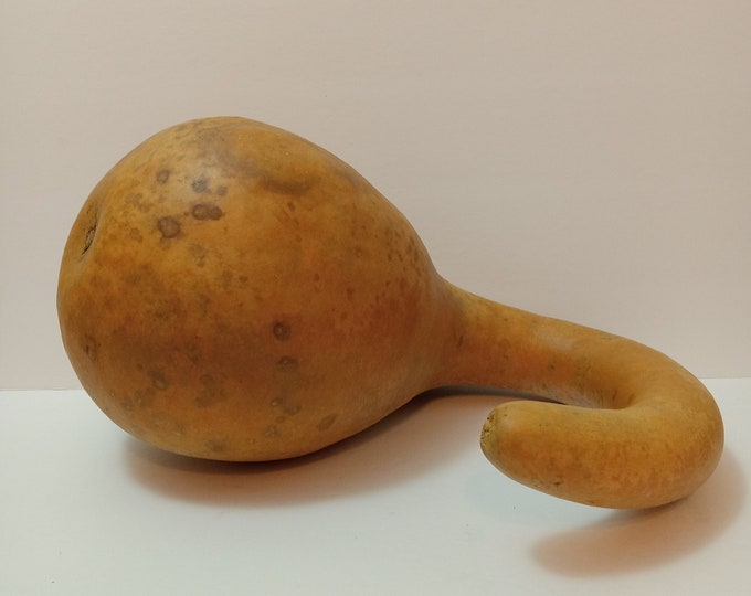 Large Dipper Gourds,gourds,dried Gourds,gourds for Crafting,natural ...