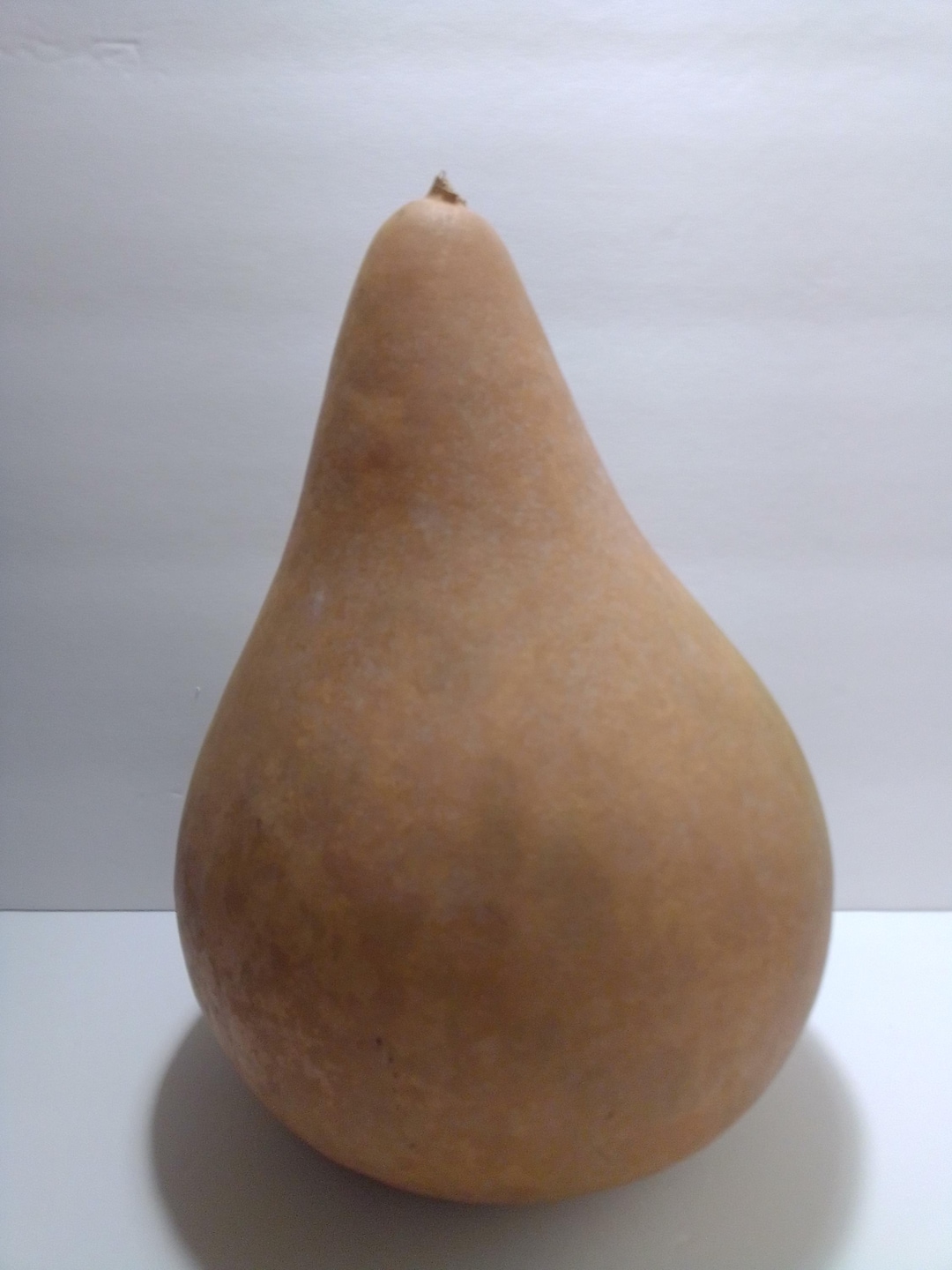 Gourds,kettle Gourd,wood Birdhouse,birdhouses,natural Gourds,diy Gourds ...