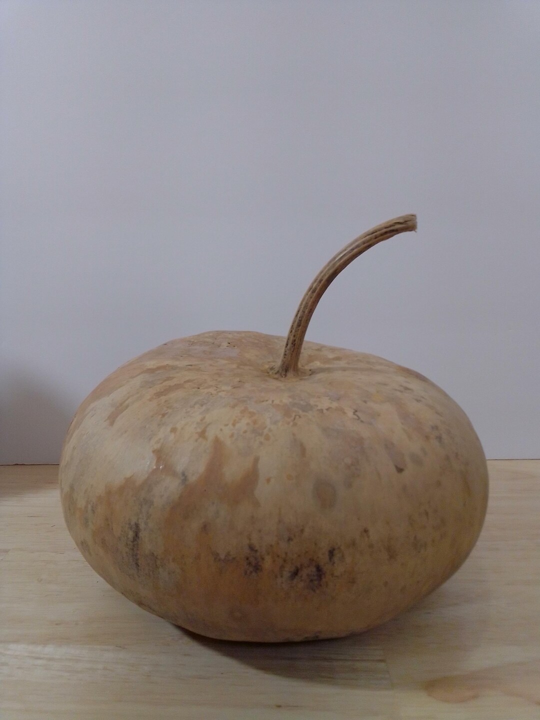 Gourds,canteen Gourds,dried Gourds,naturalgourds,gourds for Crafting ...