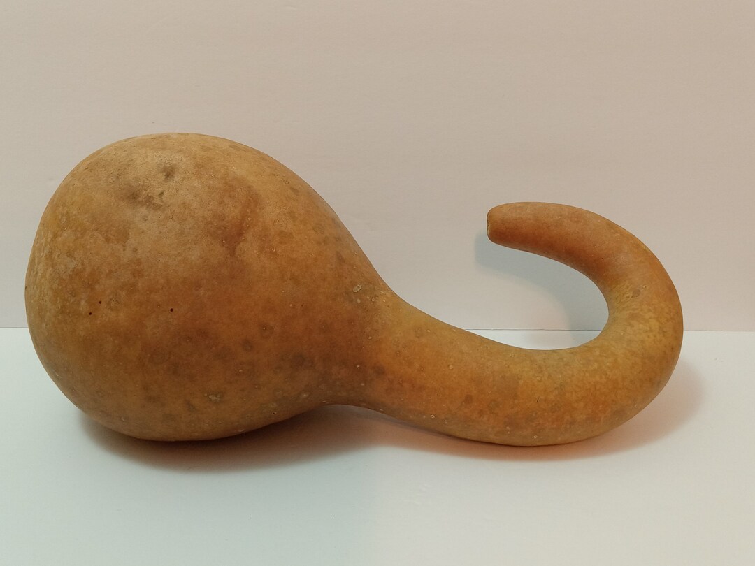 Large Dipper Gourds,gourds,dried Gourds,gourds for Crafting,natural ...