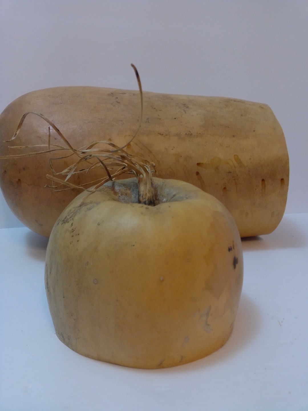 Gourds,2 Gourd Pieces,unique Gourd Pieces,dried Gourds,gourds for ...