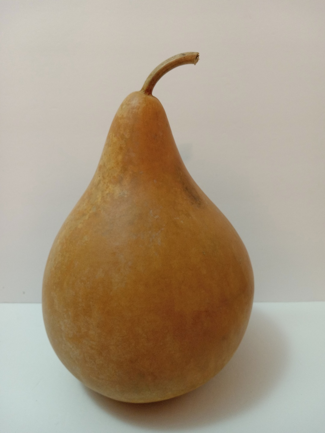 Gourds,birdhouses,kettle Gourd,wood Birdhouse,natural Gourds,diy Gourds ...