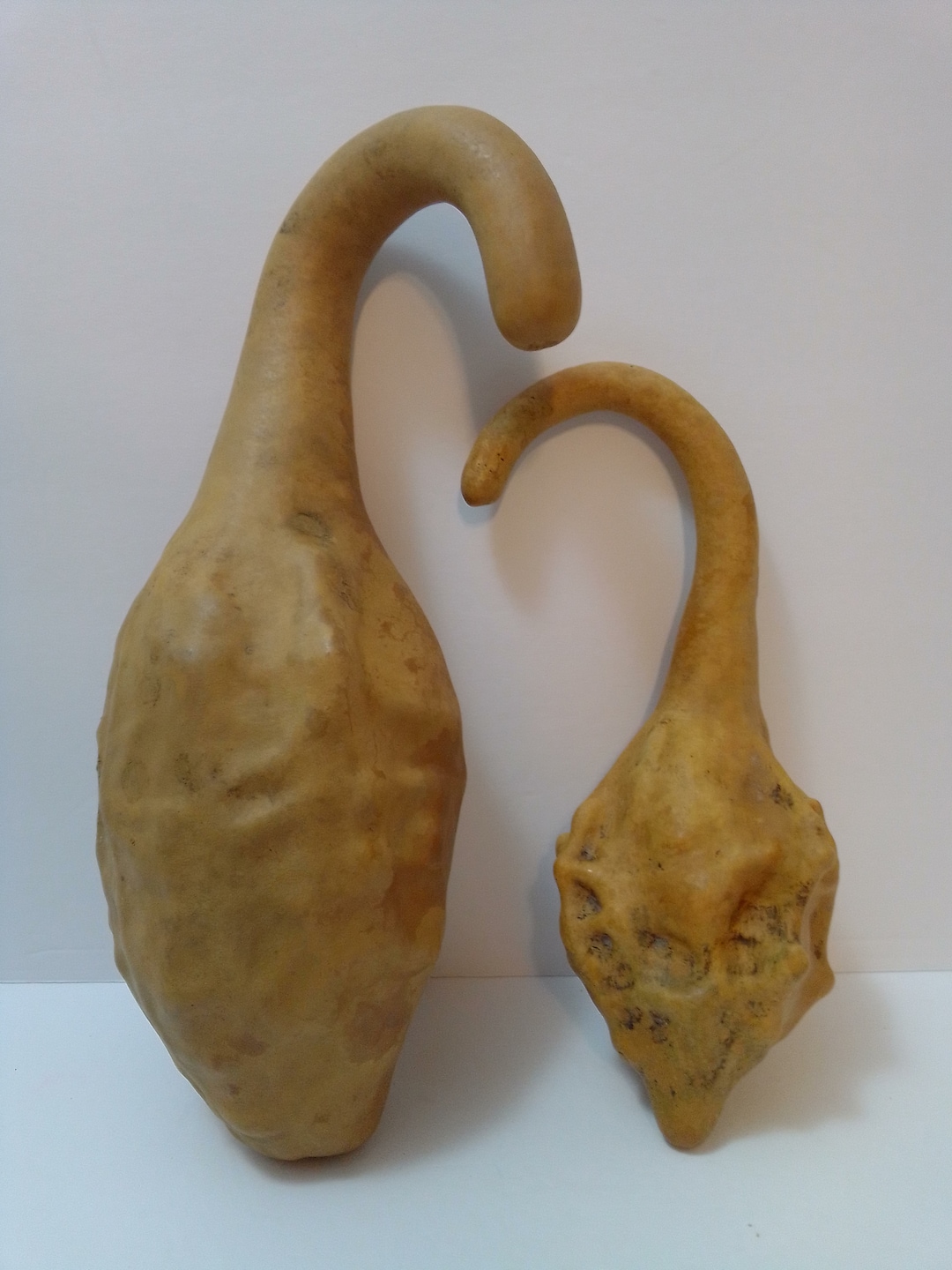 Gourds,maranka Gourds,dried Gourds,cleaned Gourds,gourd Art,diy ...