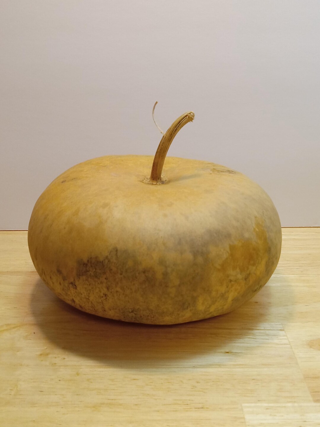 Gourds,canteen Gourds,dried Gourds,natural Gourds,gourds for Crafting ...