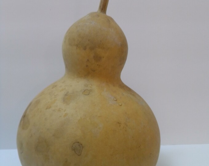 Gourds,bottle Gourds,natural Gourds,gourds for Crafting,hard Shell ...