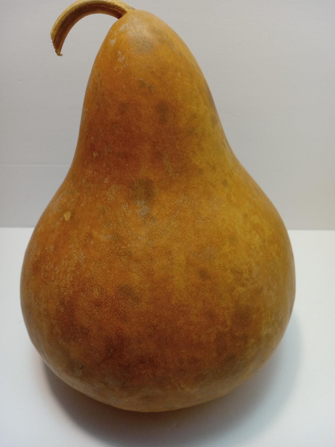 Gourds,birdhouses, Sm Kettle Gourd,gourd Birdhouse,natural Gourds,diy ...