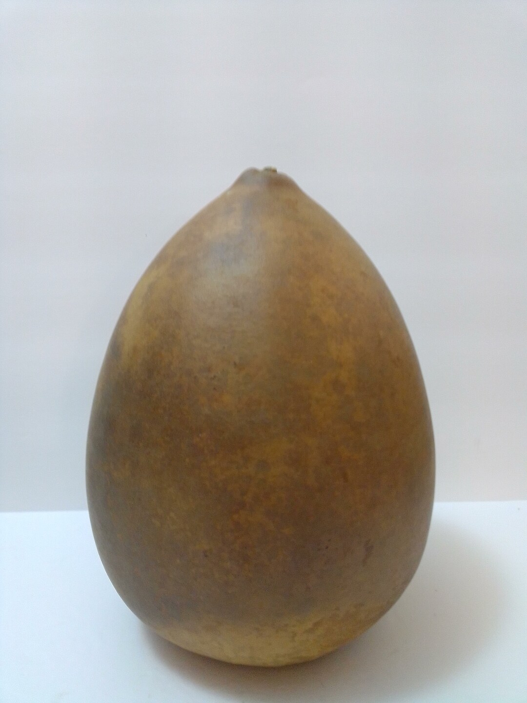 Gourds,birdhouses,fat Bodygourd,natural Gourds,,dried Gourds,diy Bird ...
