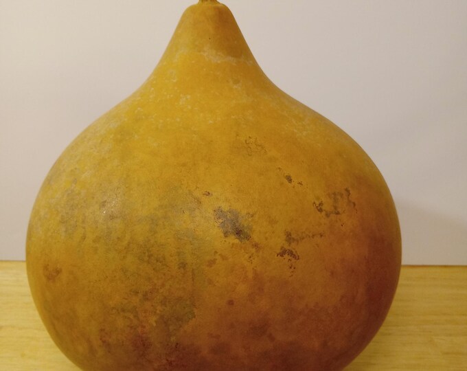 Gourds,copper Canyon Gourds,natural Gourds,gourds for Crafting,hard ...