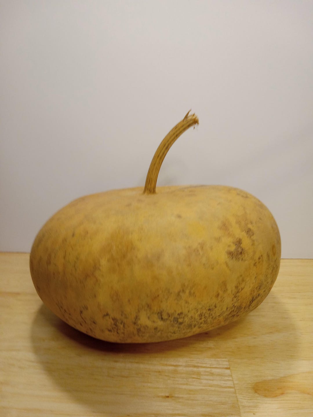 Gourds,canteen Gourds,dried Gourds,natural Gourds,gourds for Crafting ...
