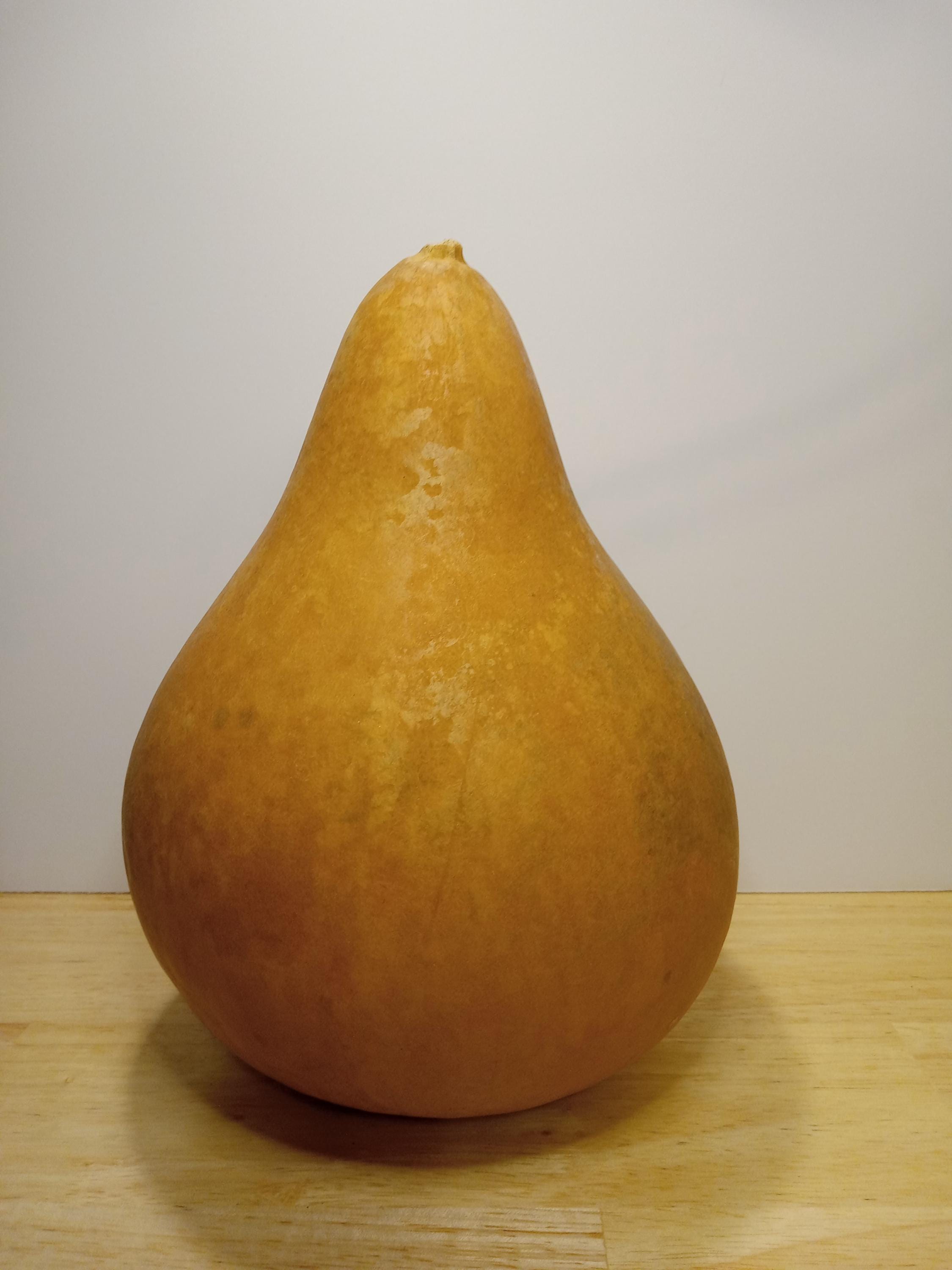 Gourds,kettle Gourd,birdhouse Gourd,natural Gourds,diy Gourds,gourd Art ...