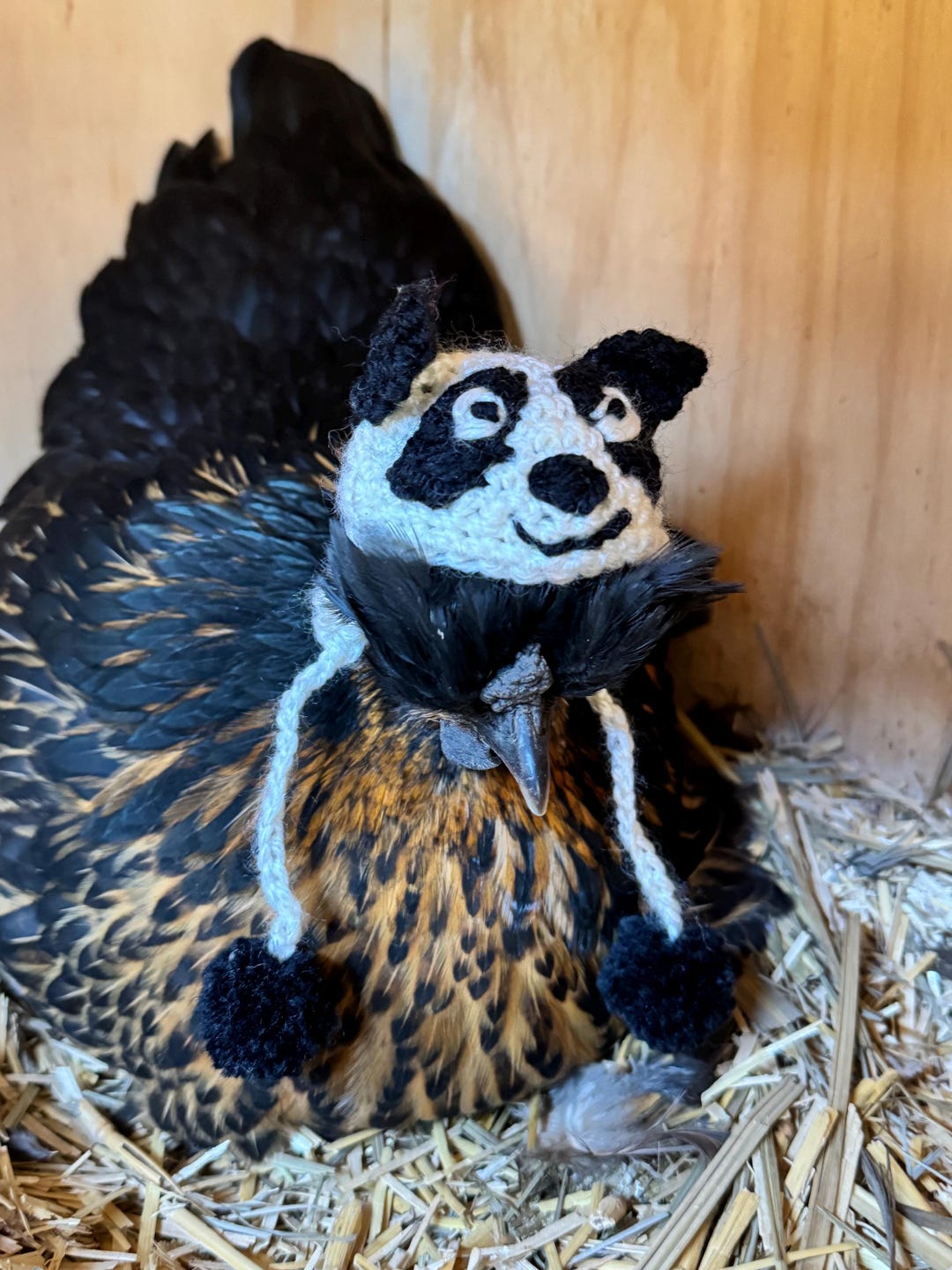 Panda Bonnet With Pom-pom Ties - Etsy