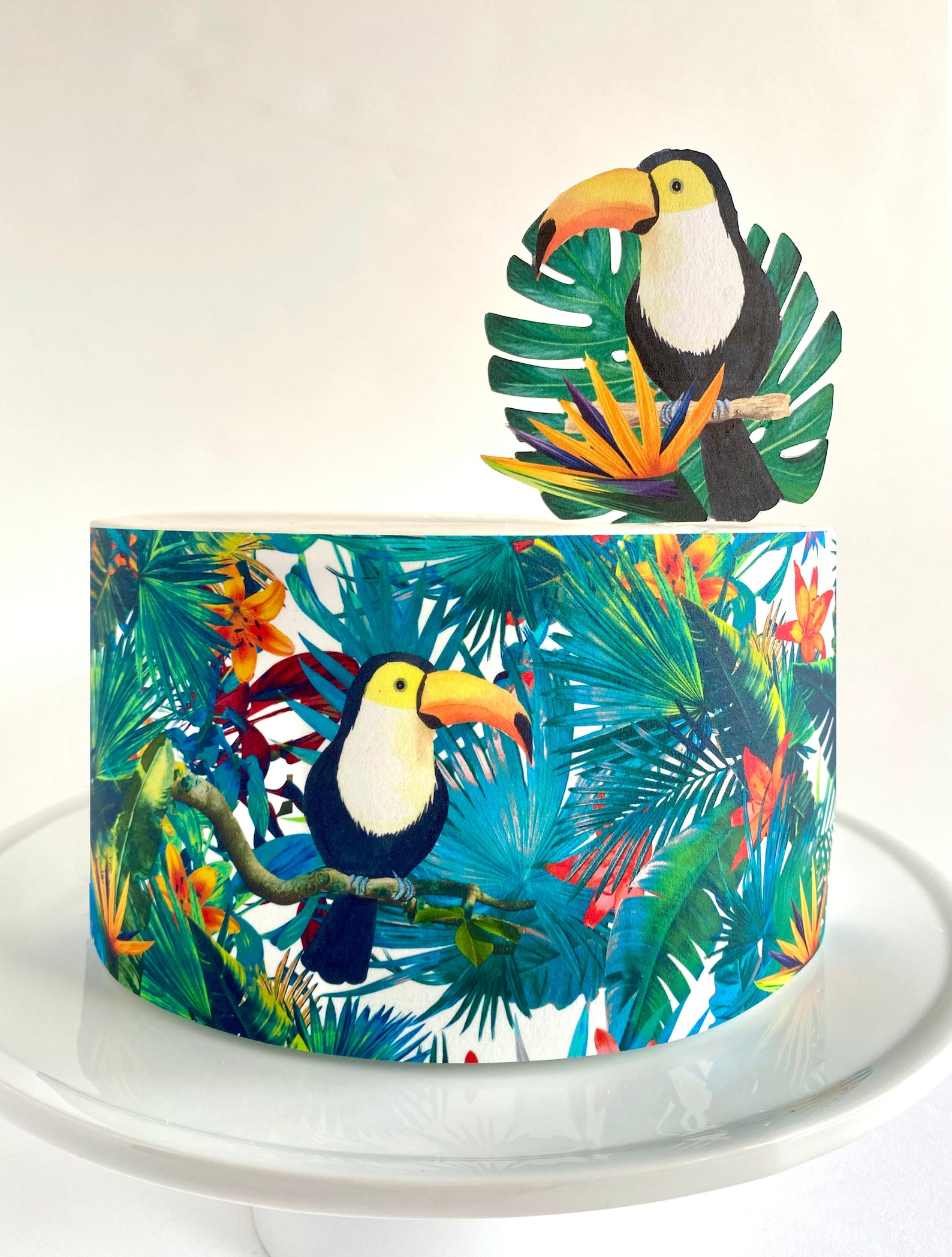 Toucan in the Jungle Edible Cake Wrap or Tropical Toucan Cake - Etsy