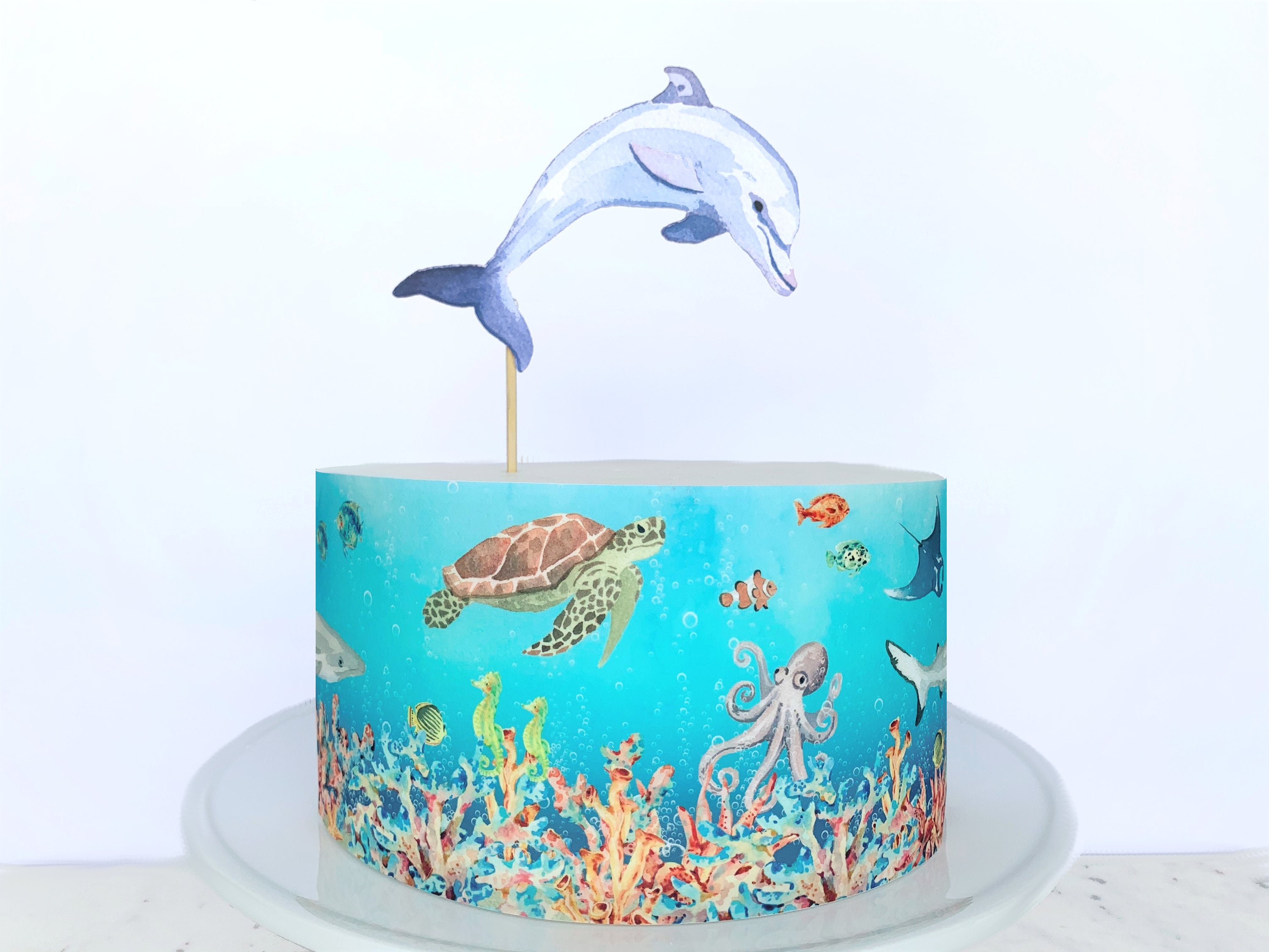 Under the Sea Edible Cake Wrap or Dolphin Cardstock Cake Topper - Etsy