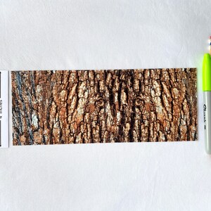 Tree Bark Edible Cake Wrap or Woodland Deer Cake Topper - Etsy