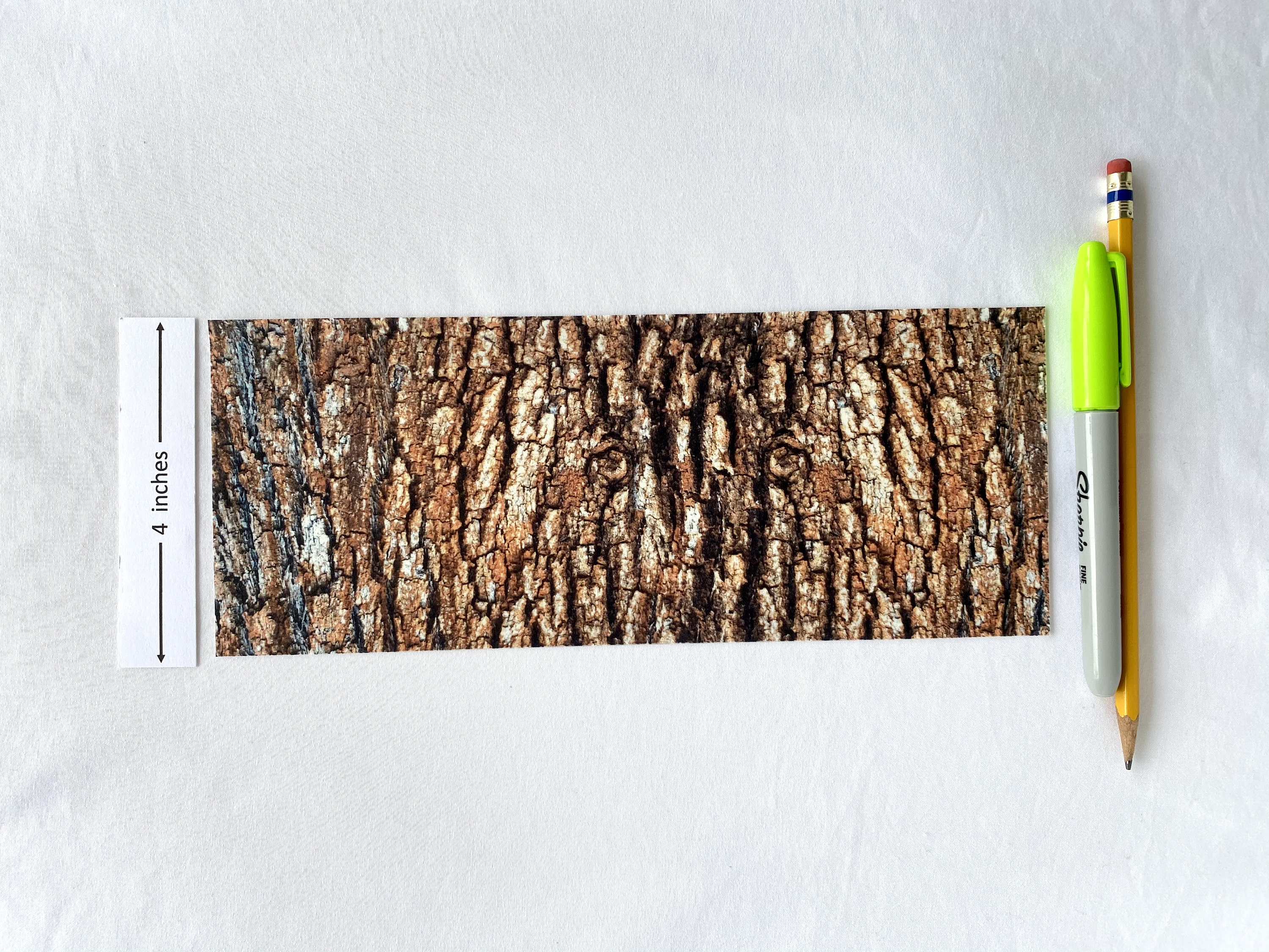 Tree Bark Edible Cake Wrap or Woodland Deer Cake Topper | Etsy