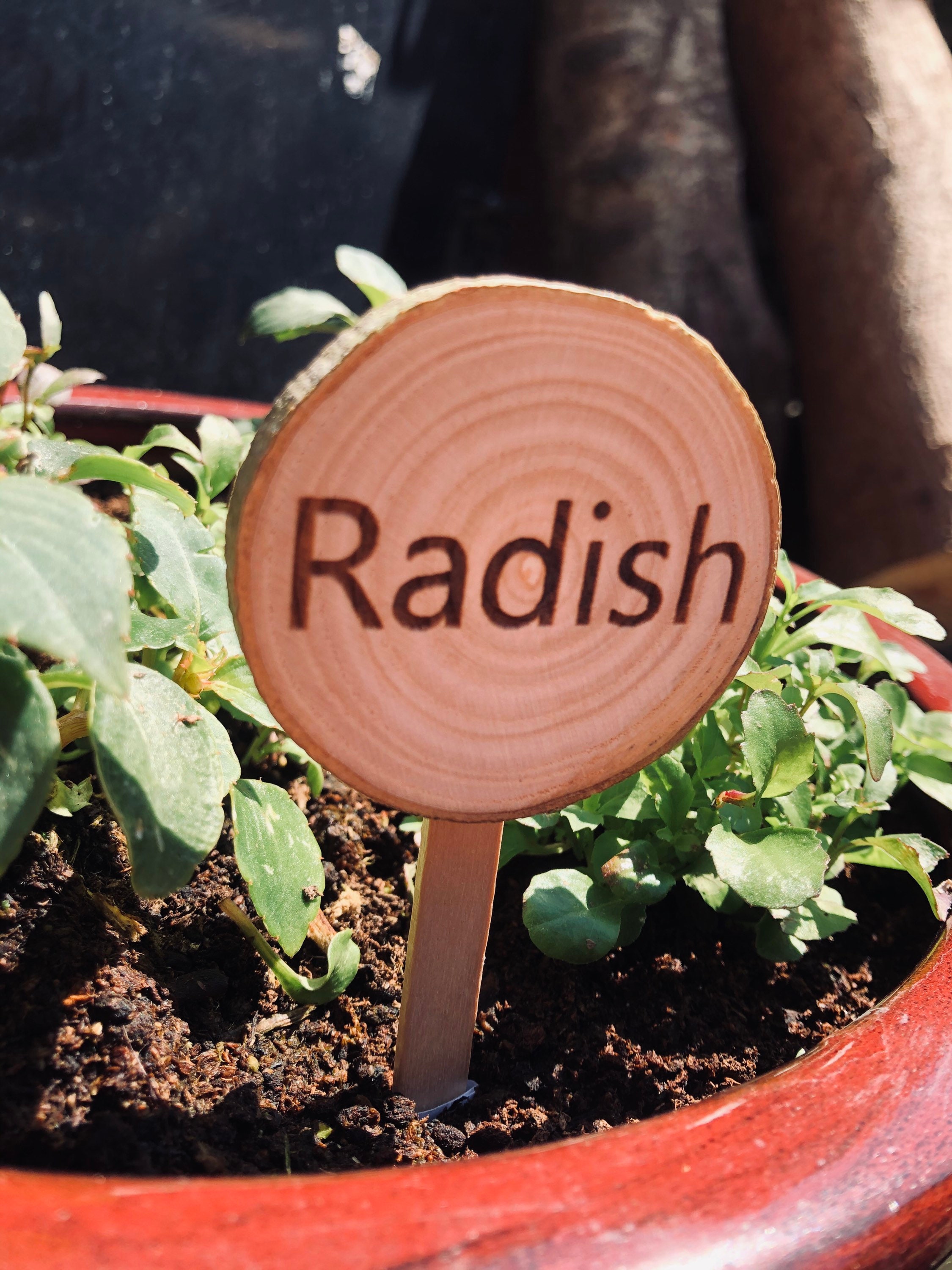 Garden Plant Signs Garden Markers for Seed Beds Vegetable - Etsy UK