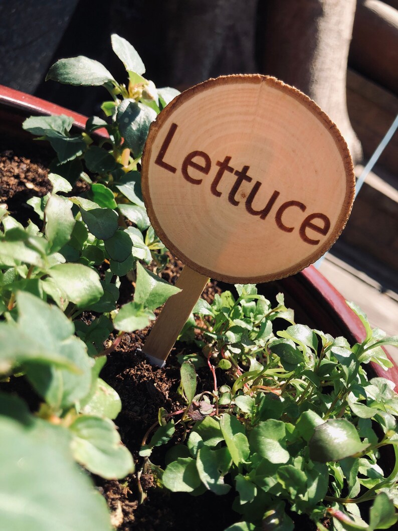 Garden Plant Signs Garden Markers for Seed Beds Vegetable | Etsy UK
