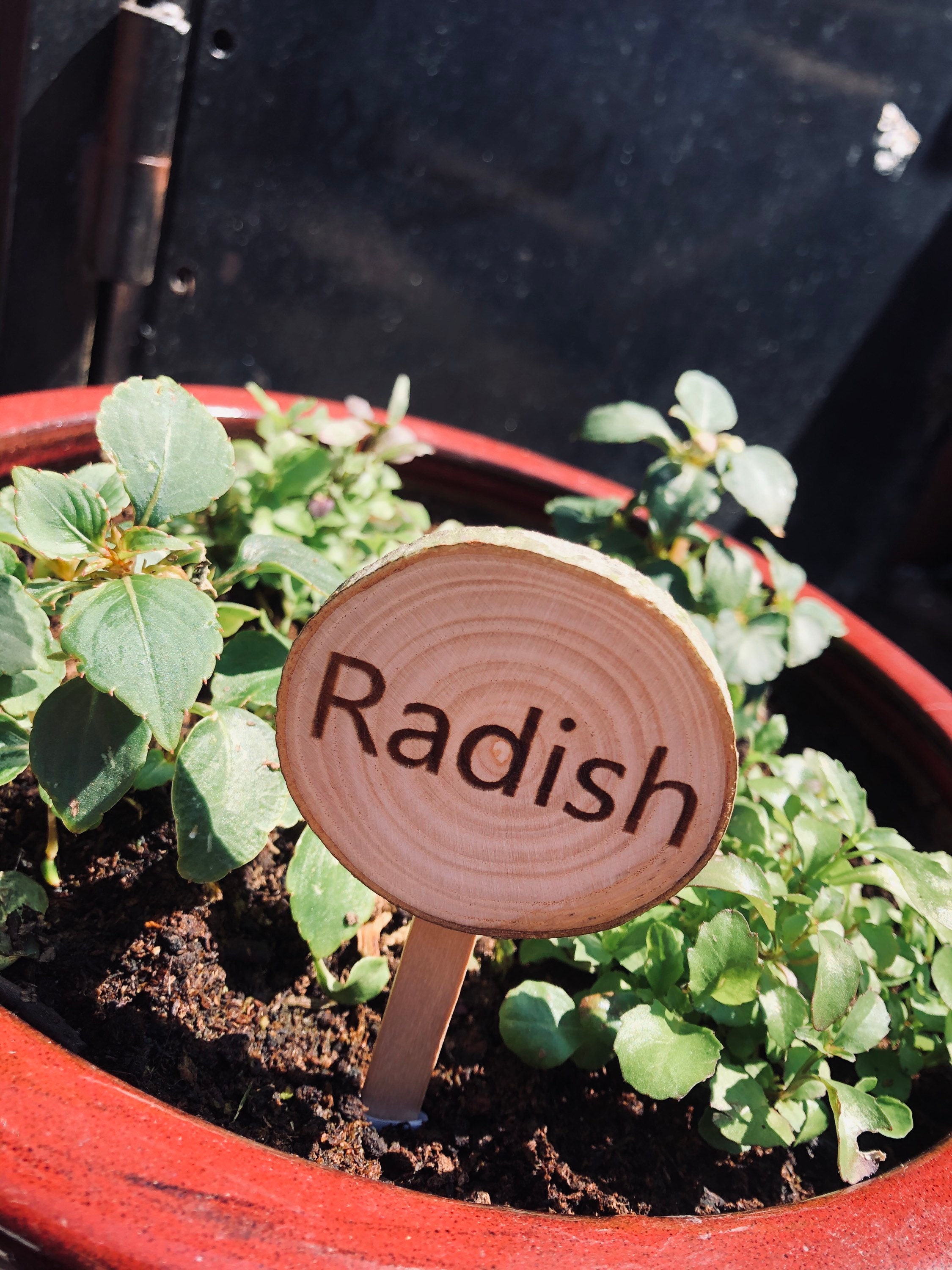 Garden Plant Signs Garden Markers for Seed Beds Vegetable - Etsy UK